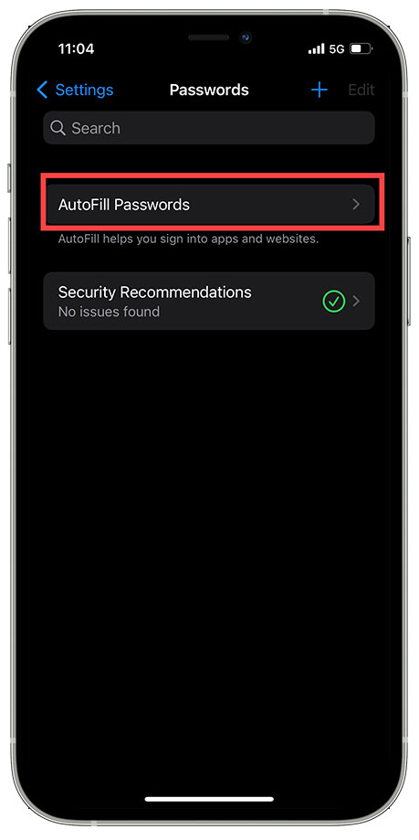 iPhone Auto Fill Password Setting – yourHD